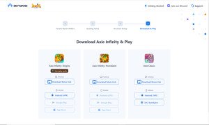 How to Play Axie Infinity: A Beginner’s Guide for P2E Gamers