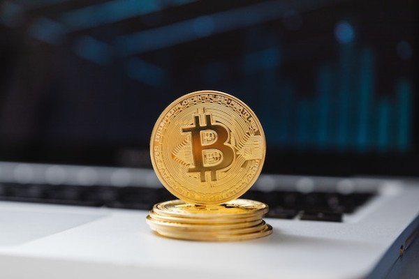 Who Owns the Most Bitcoin? A Closer Look at the Largest Holders