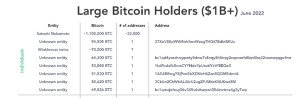 Who Owns the Most Bitcoin? A Closer Look at the Largest Holders