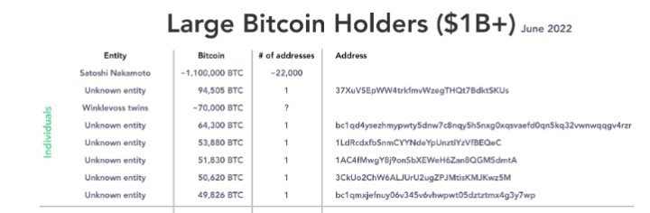 Who Owns the Most Bitcoin? A Closer Look at the Largest Holders