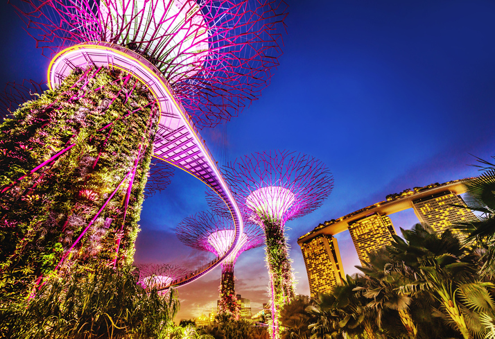 South Korean Lighting Company CTL Edging Closer to Singapore ICO South Korean Lighting Company CTL Edging Closer to Singapore ICO