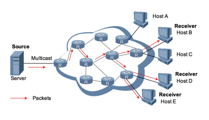 A Beginner’s Guide to Nexus NXS Cryptocurrency