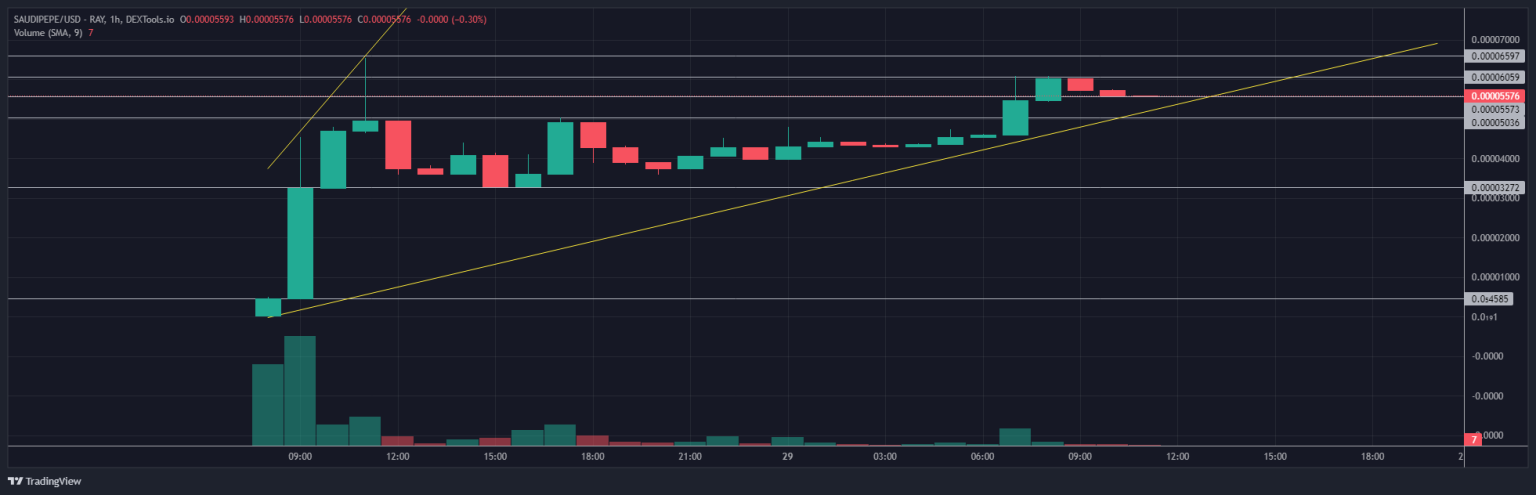 SAUDIPEPE Token is the Latest Token to Shoot Up 18,986% and This AI ...