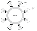 Polkadot (DOT) Price Prediction 2026, 2027, 2030