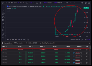 What is a Rug Pull in Crypto? How to Avoid Them in 2025