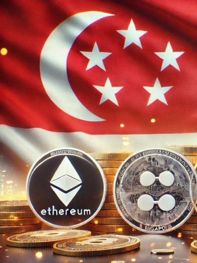 Singapore Flags Higher Terrorism Financing Risk for Digital Payment ...