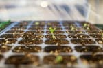 What is Airdrop Farming? How to Farm Airdrops in 2026
