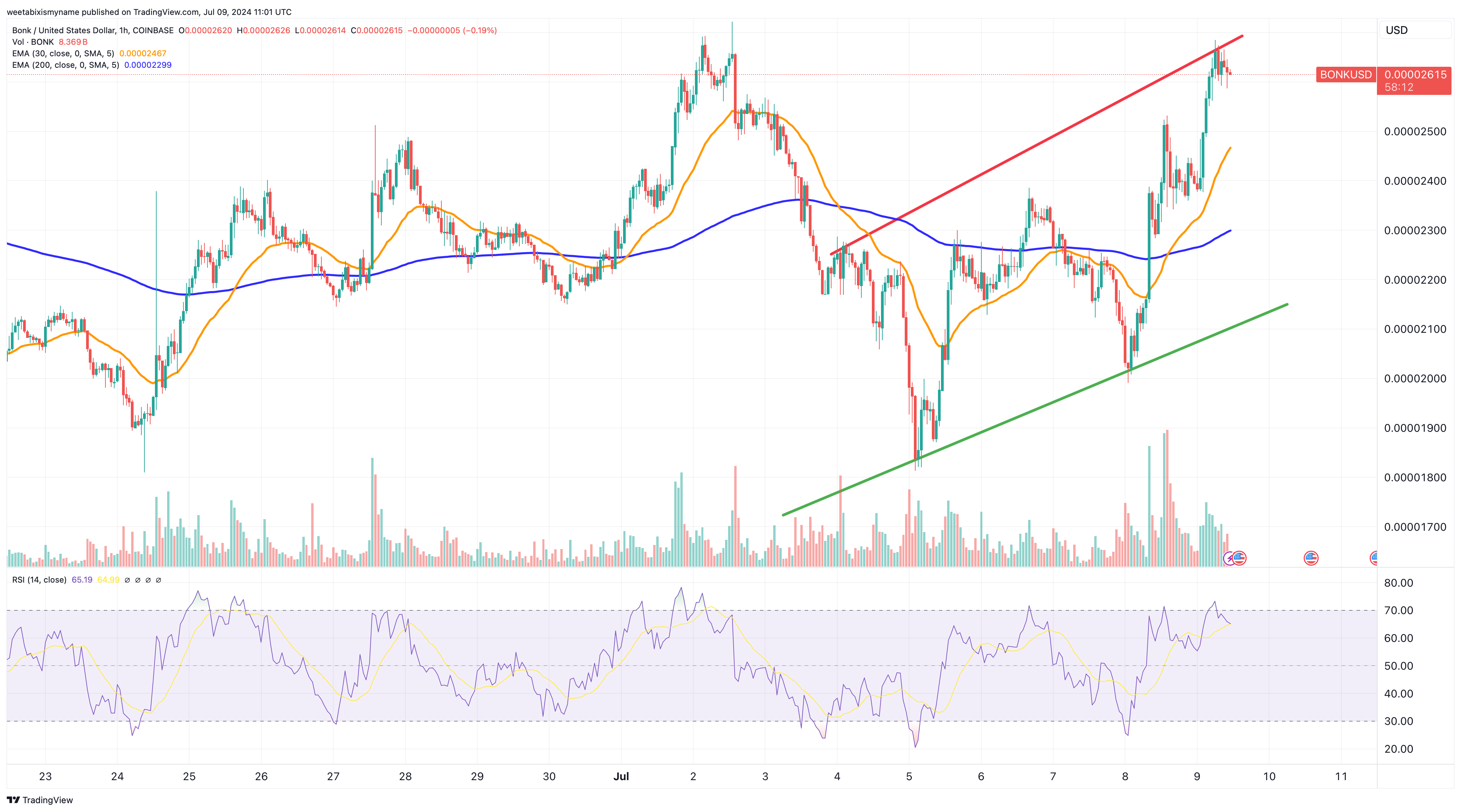 BONK Soars 25%: Price Prediction Amidst Token Burn and Whale Moves