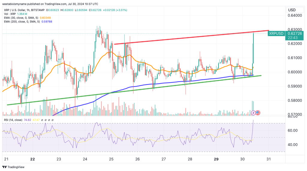 How 1,000 XRP Could Turn into $100,000: Expert Predicts Massive Returns