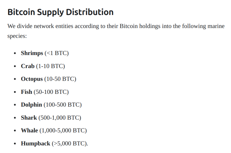 What Is a Crypto Whale? | CryptoNews Academy