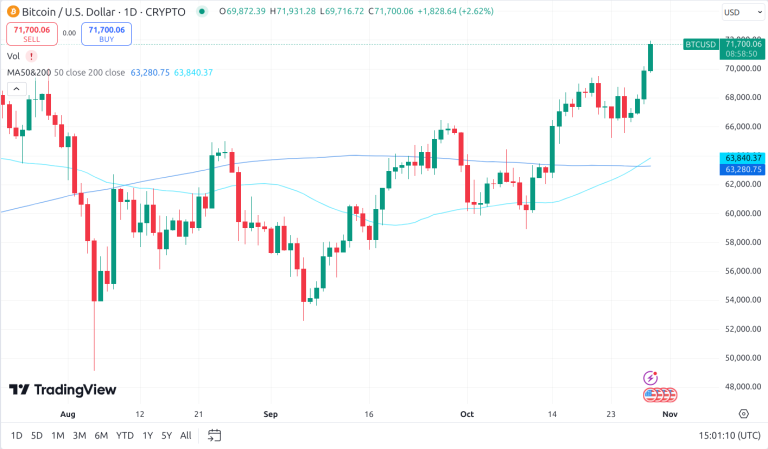 What Is a Crypto Bull Market? Strategies for Maximizing Gains