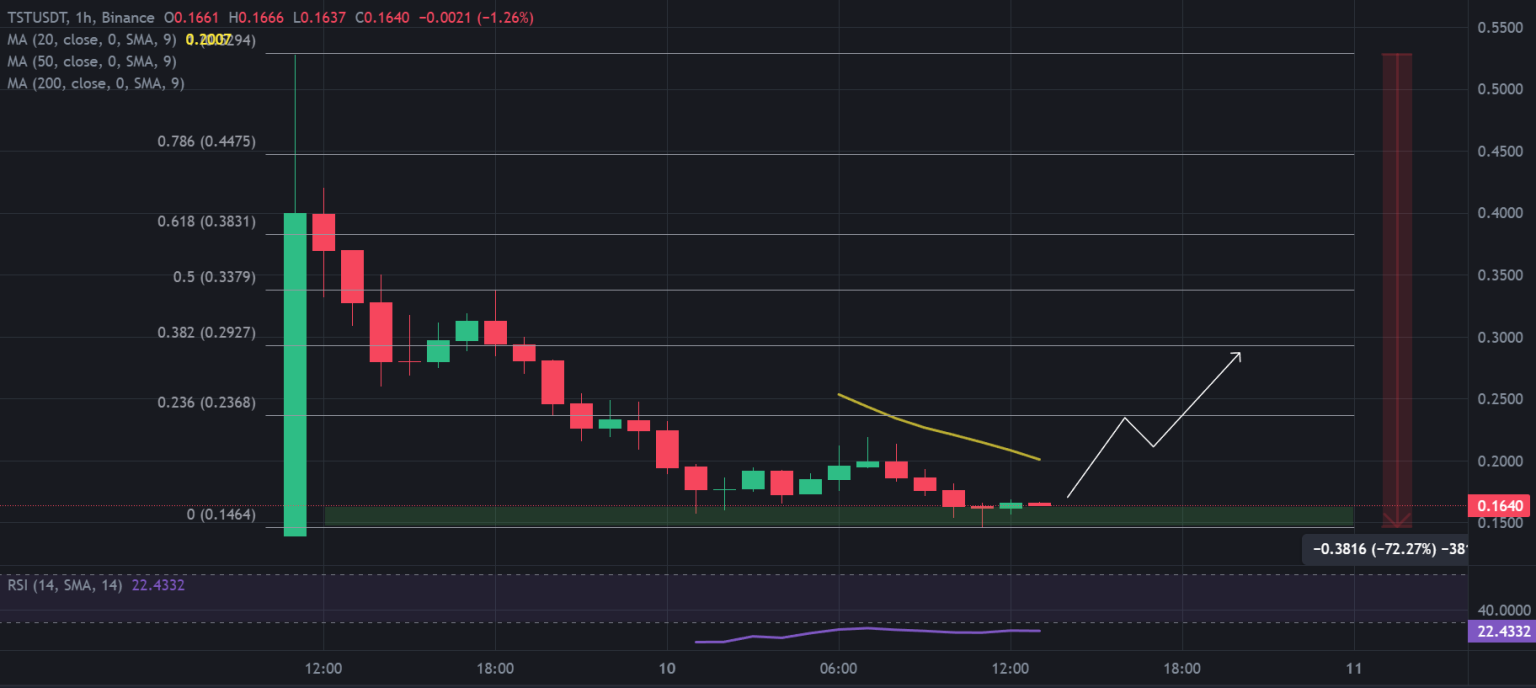 Binance's TST Coin Rallies 100x After CZ Tweet