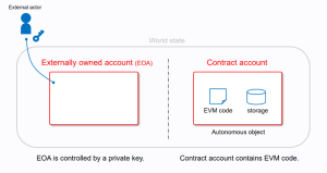 What Is an EVM Wallet? Ethereum Virtual Machine Wallets Explained - Cryptonews