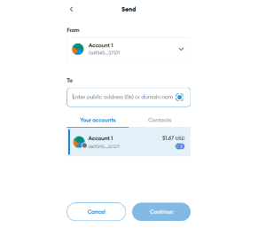 What Is an EVM Wallet? Ethereum Virtual Machine Wallets Explained ...