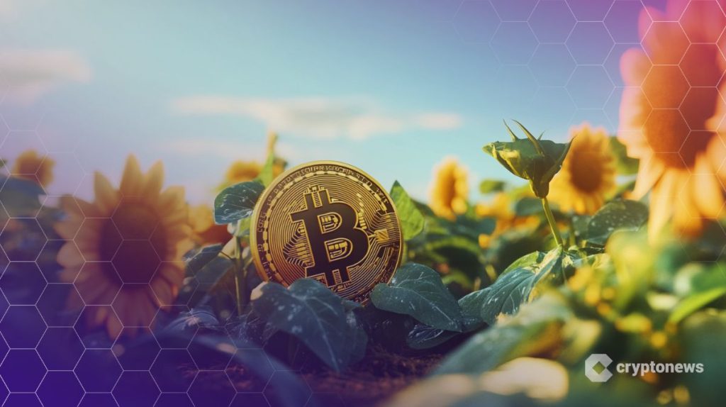 Coinbase Bitcoin Yield Fund Targets 4%-8% Yield, $1B Cap