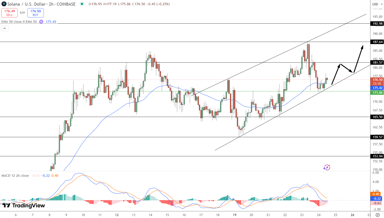 Solana Price Prediction: SOL Rose to $176.40— Can This L1 Outperform as ETH and BTC Gain Ground?