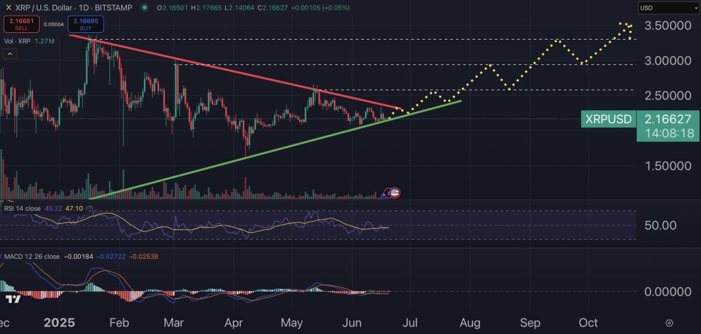 XRP Price Prediction: Analyst Declares ‘Only Two Paths Remain’ as XRP ...