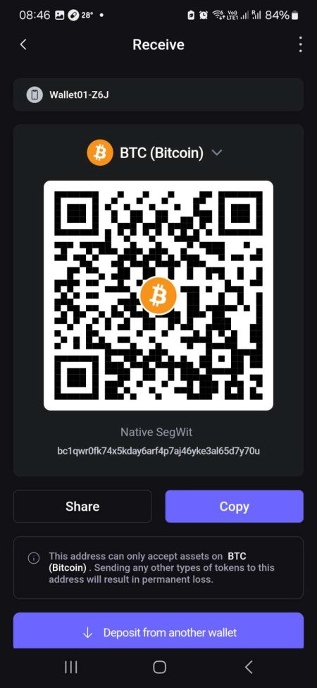 SafePal Wallet Review 2026: How Reliable Is It?