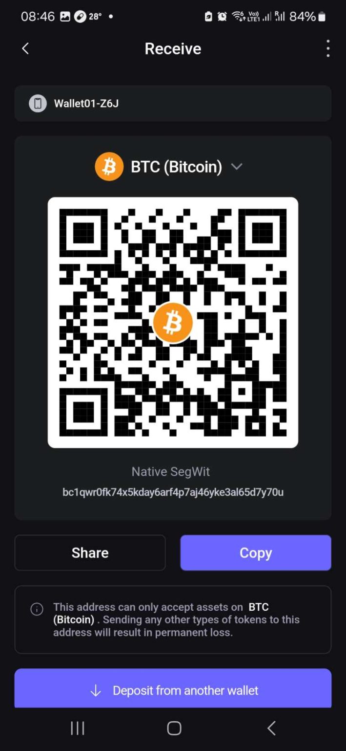 SafePal Wallet Review 2026: How Reliable Is It?