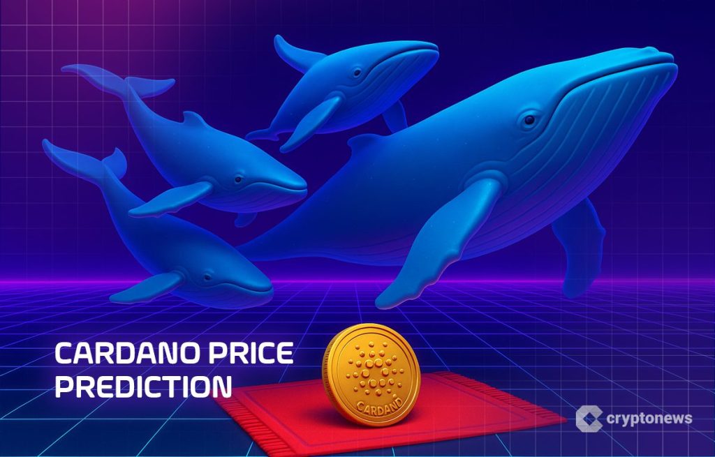 Cardano Price Prediction: Whales Dump 30 Million ADA – Rugpull or Big ...