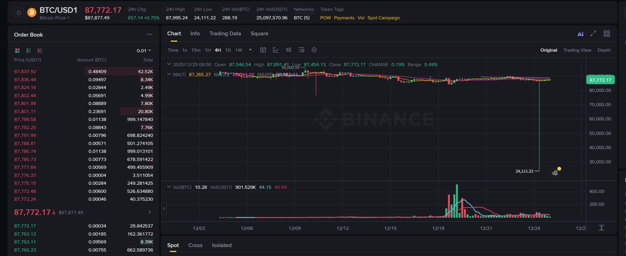 Bitcoin Triggers Sharp Flash Crash to $24K on Binance USD1 Pair