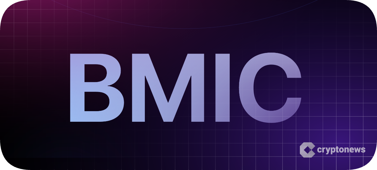 How To Buy BMIC Token (BMIC) - Easy Guide