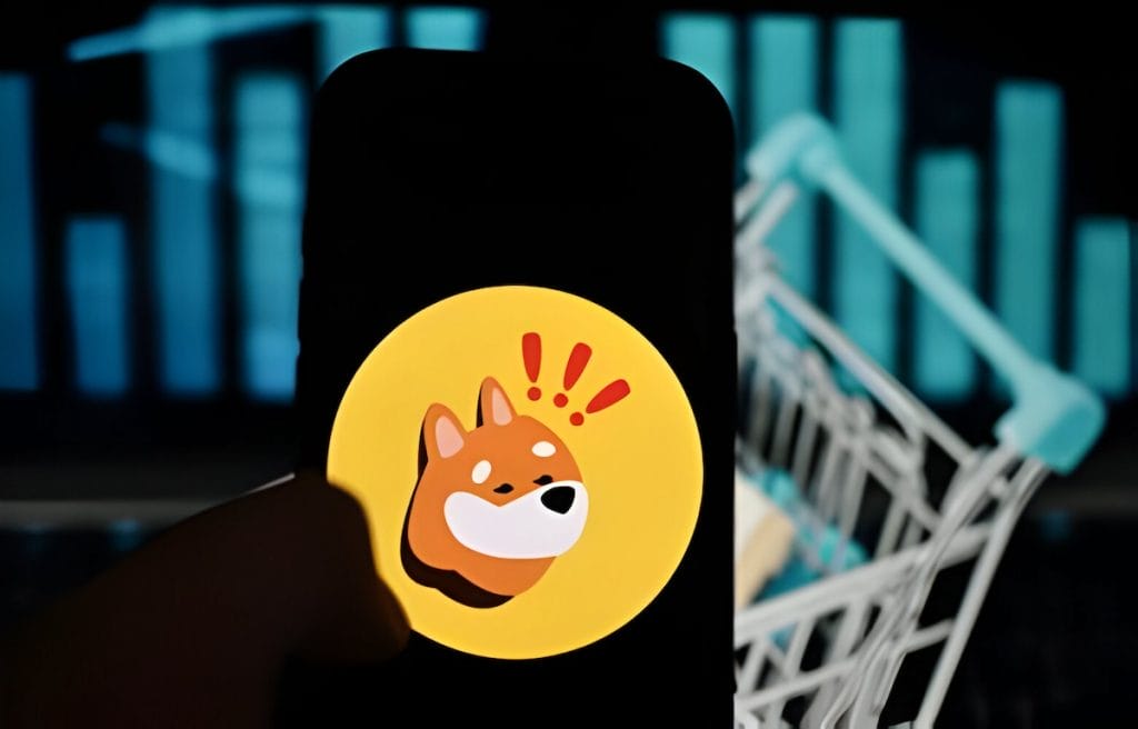 El precio de Bonk coin explota un +38%