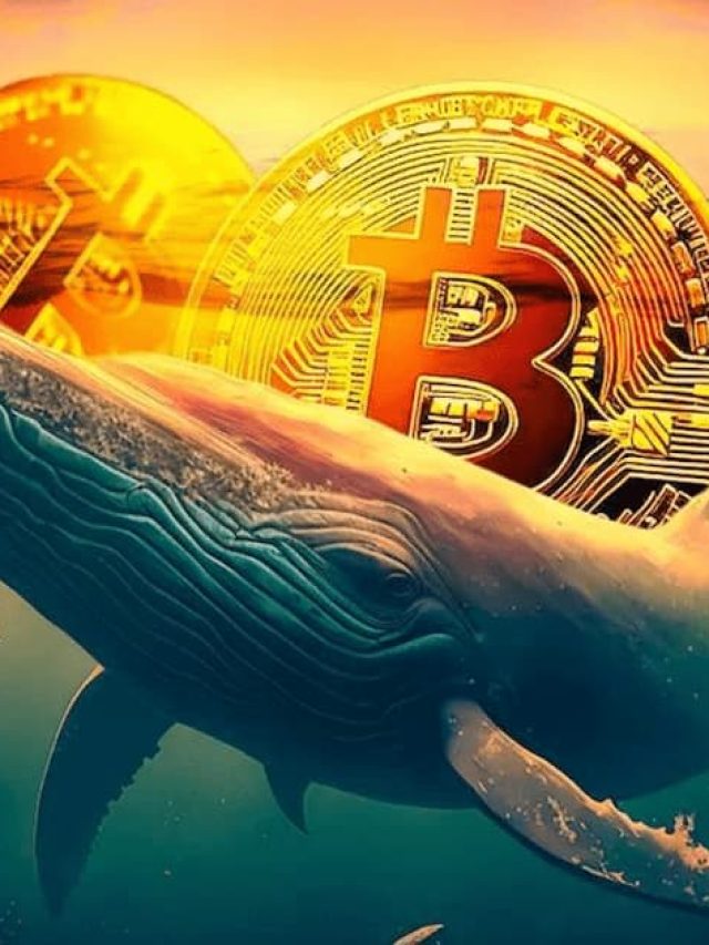 El suministro de ballenas de Bitcoin es el más bajo desde 2018 ¿fase de ...