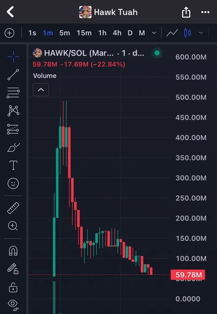 Hawk Tuah Meme Coin yang Turun 90% Setelah Listing