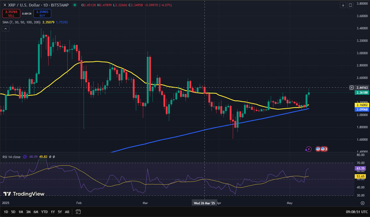 Ripple koers stijgt na recordactiviteit op XRP Ledger
